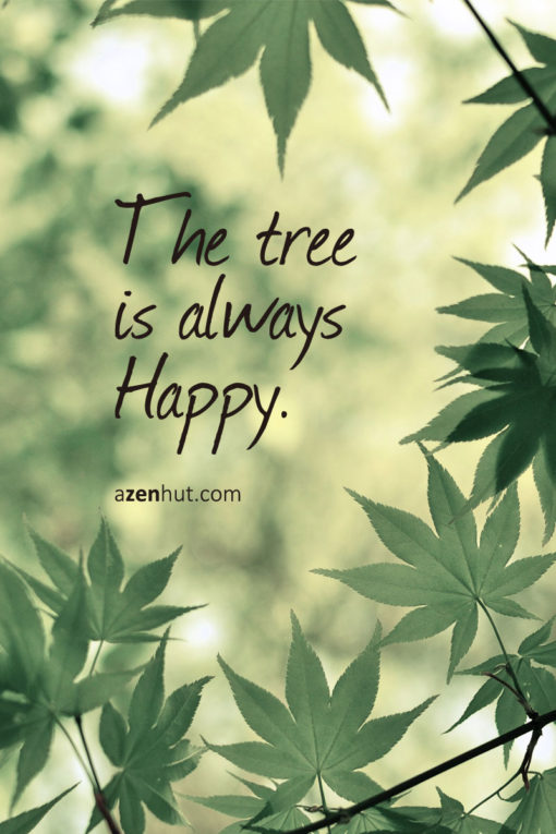 Words of the Day - A Zen Hut