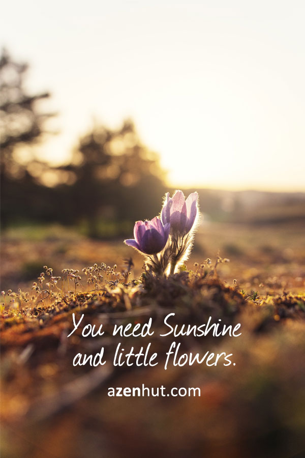 Words of the Day - A Zen Hut